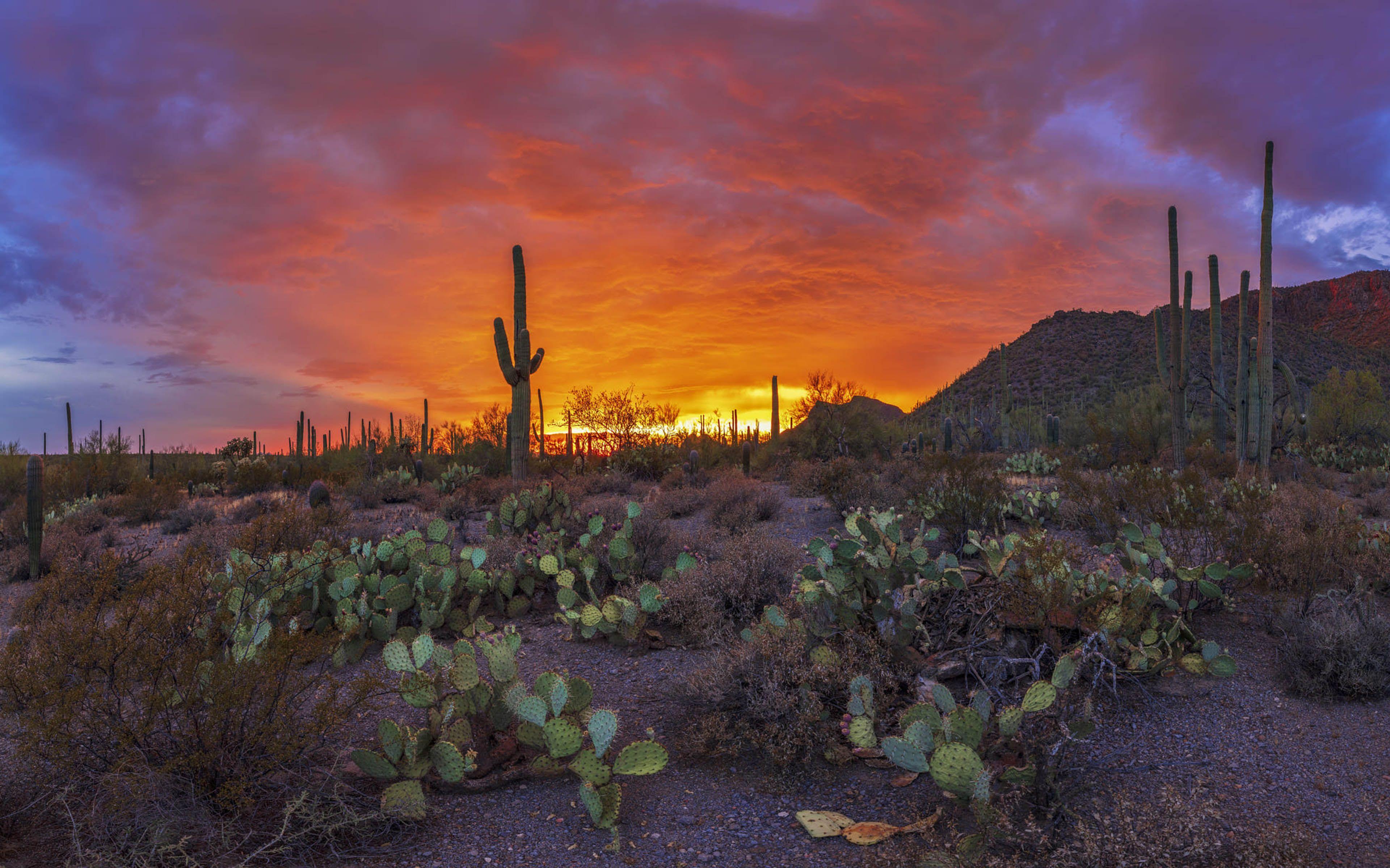 Arizona Sunset HD Wallpapers - Top Free Arizona Sunset HD Backgrounds ...