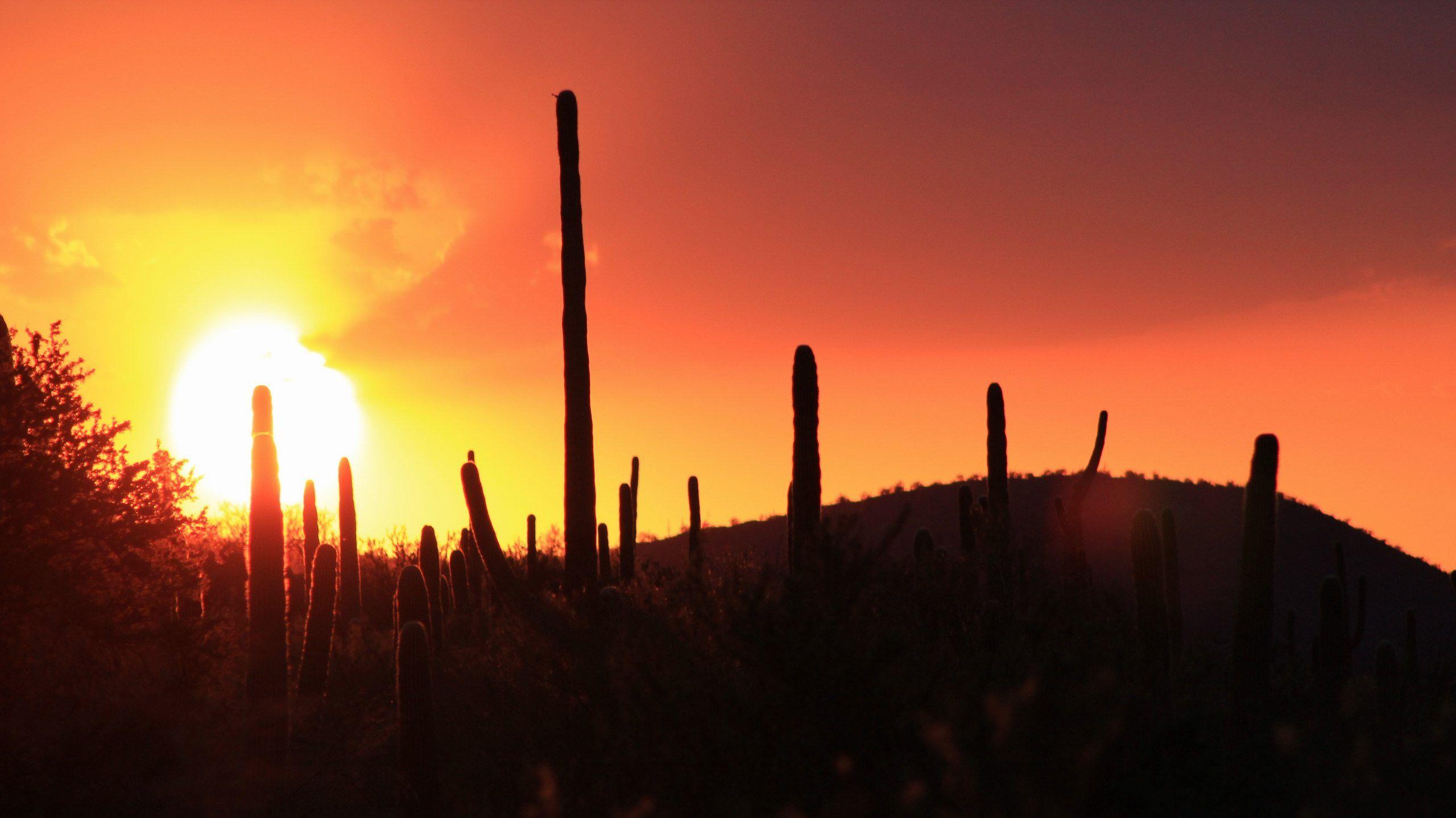 Arizona Sunset HD Wallpapers - Top Free Arizona Sunset HD Backgrounds ...