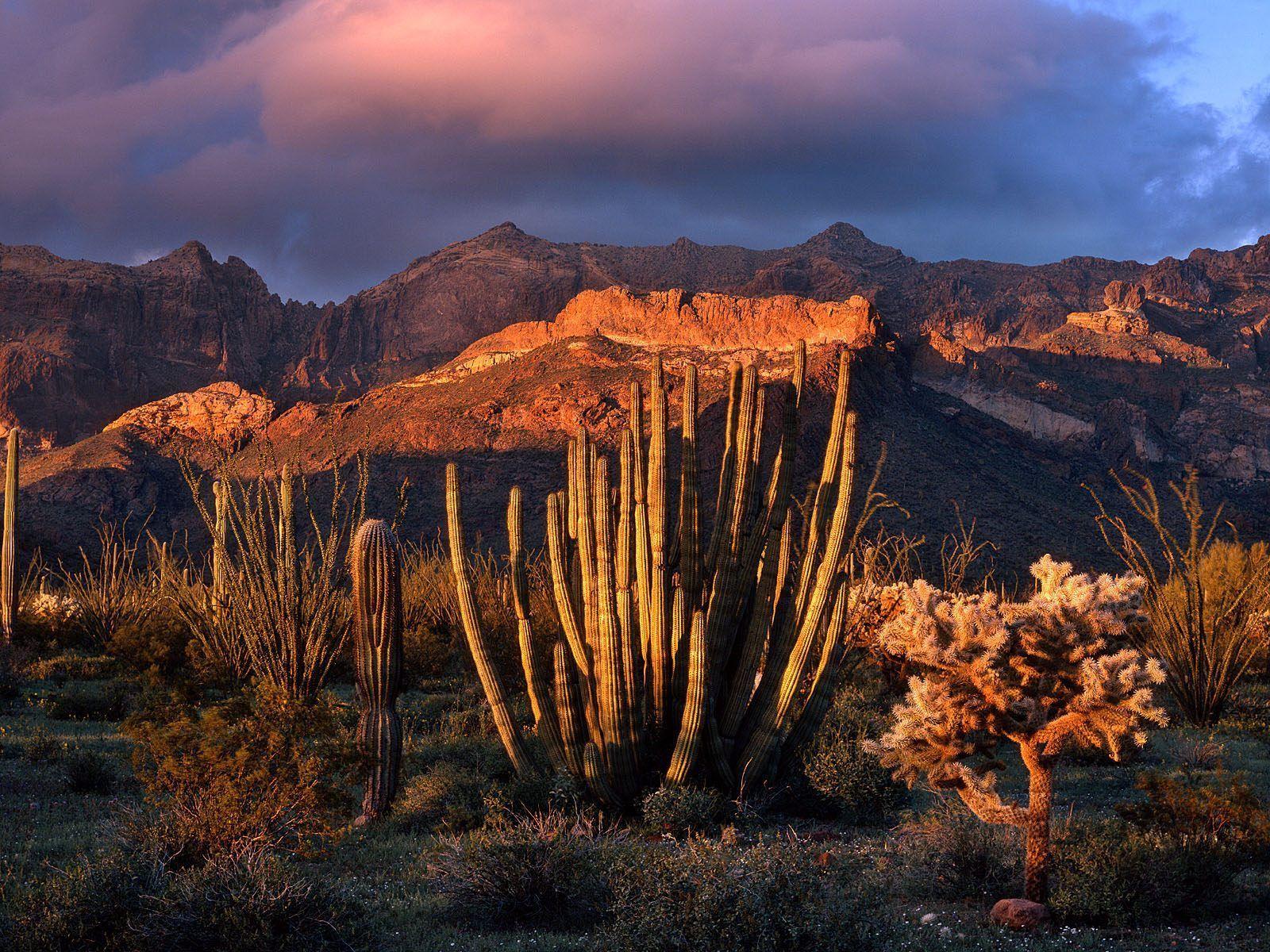Arizona Sunset HD Wallpapers - Top Free Arizona Sunset HD Backgrounds ...