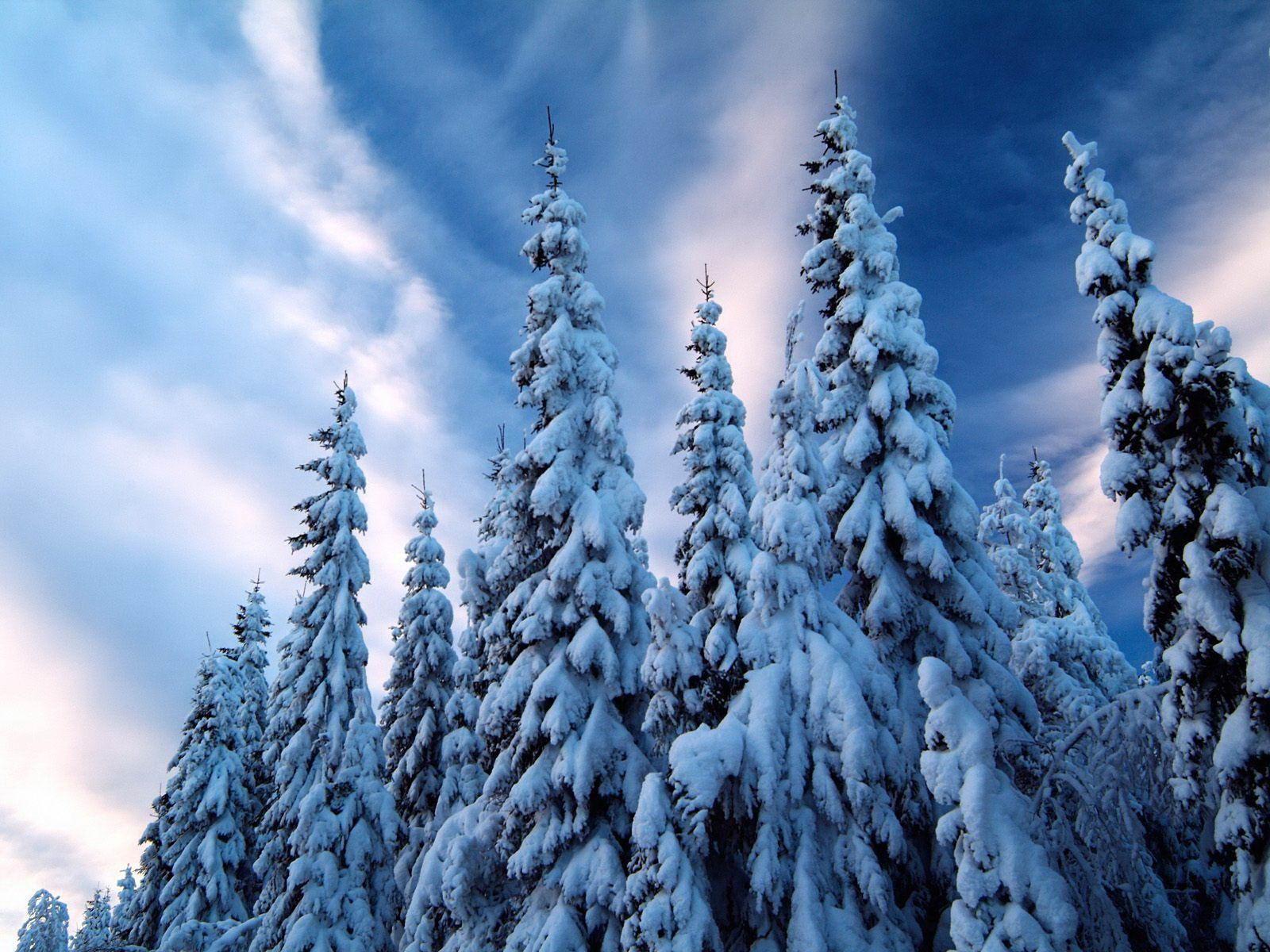 Winter Snow Desktop Wallpapers - Top Free Winter Snow Desktop ...