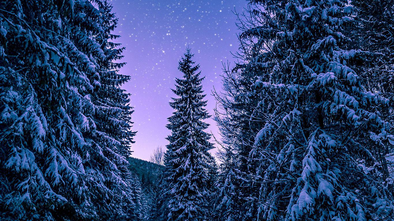 Winter Snow Desktop Wallpapers - Top Free Winter Snow Desktop ...