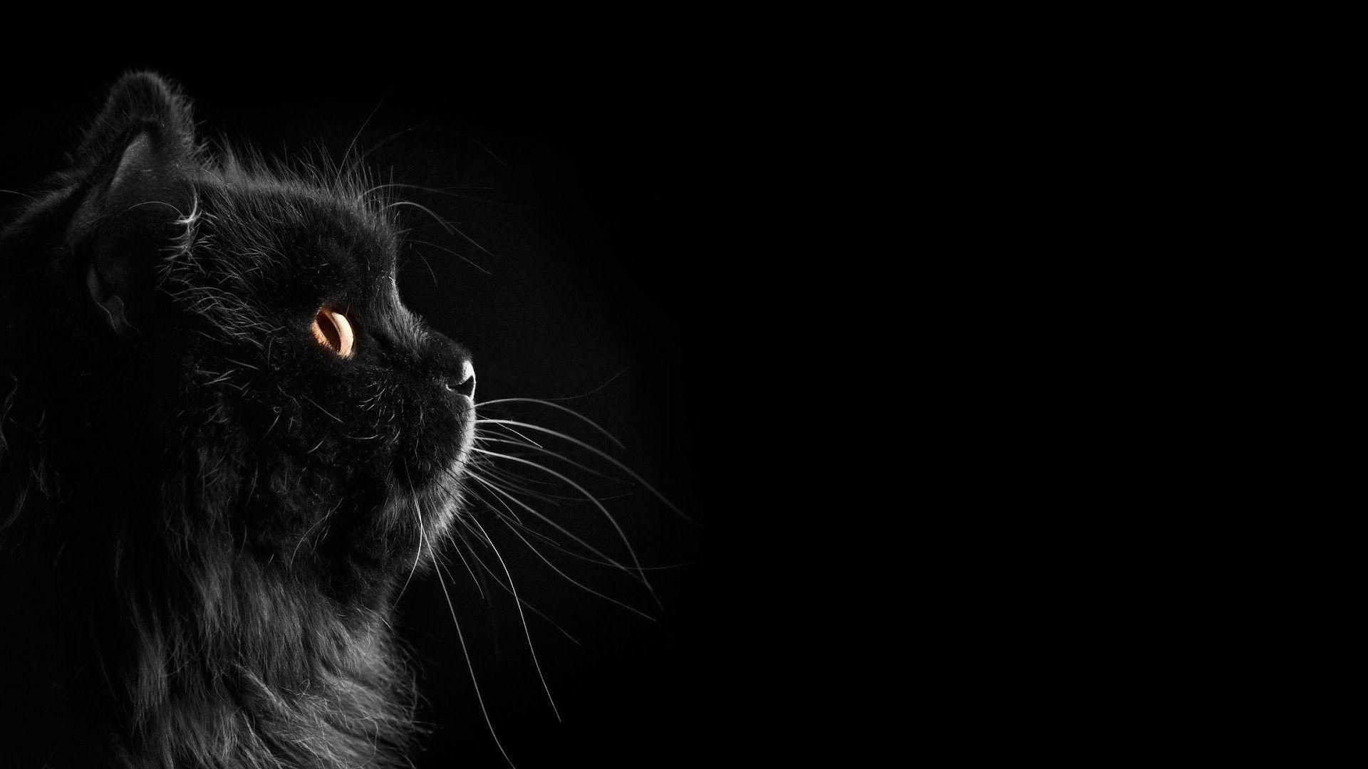 Cute Black Desktop Wallpapers - Top Free Cute Black Desktop Backgrounds ...