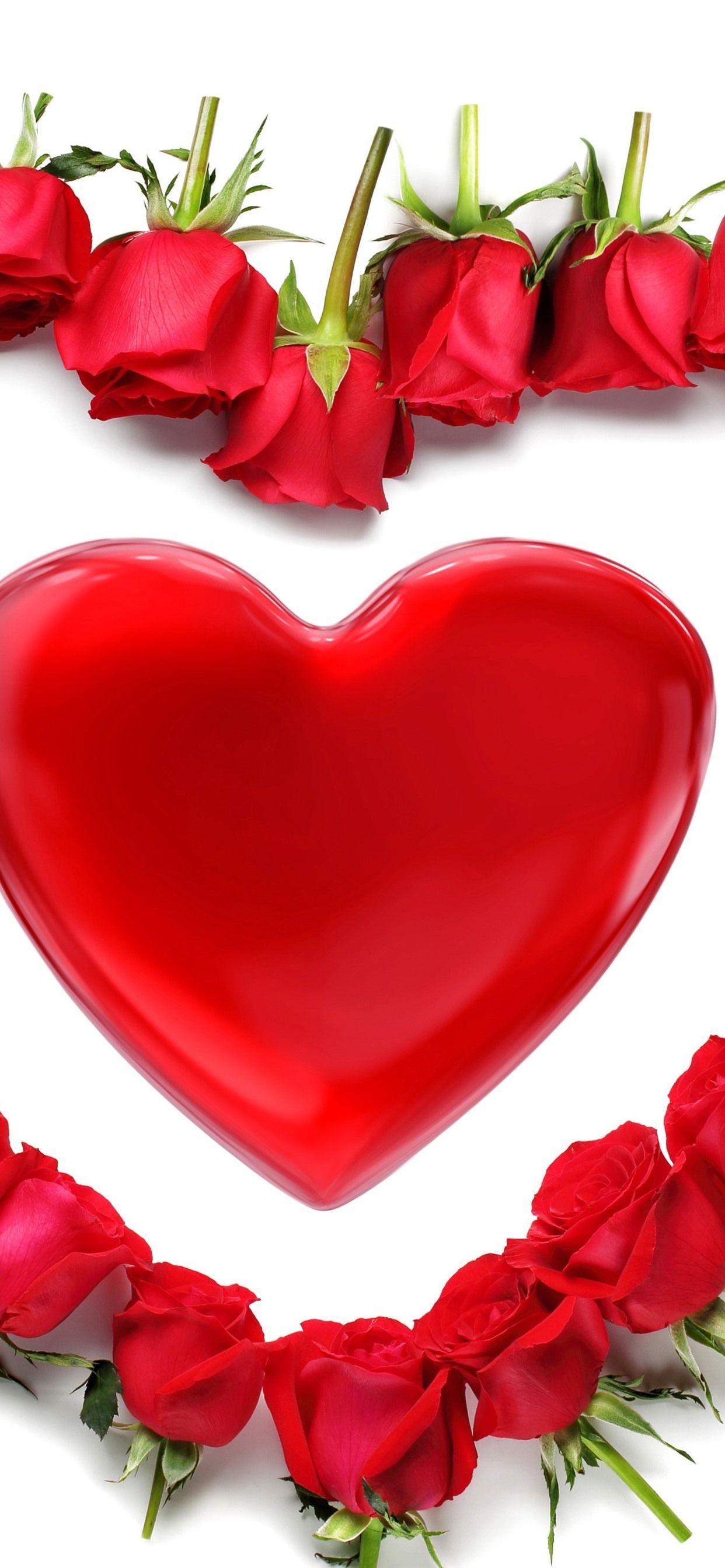 Heart Rose Wallpapers - Top Free Heart Rose Backgrounds - WallpaperAccess