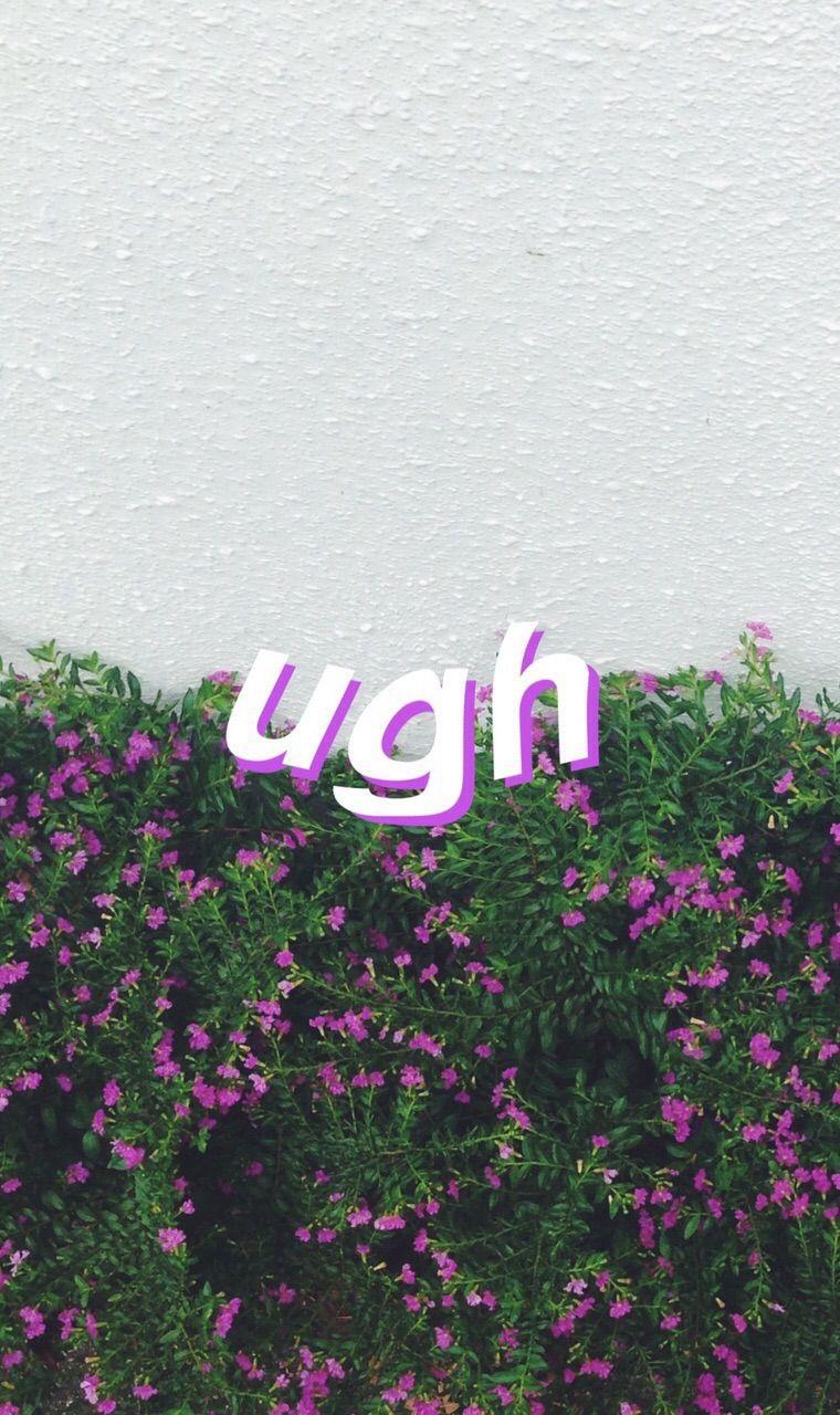 Ugh Wallpapers - Top Free Ugh Backgrounds - WallpaperAccess