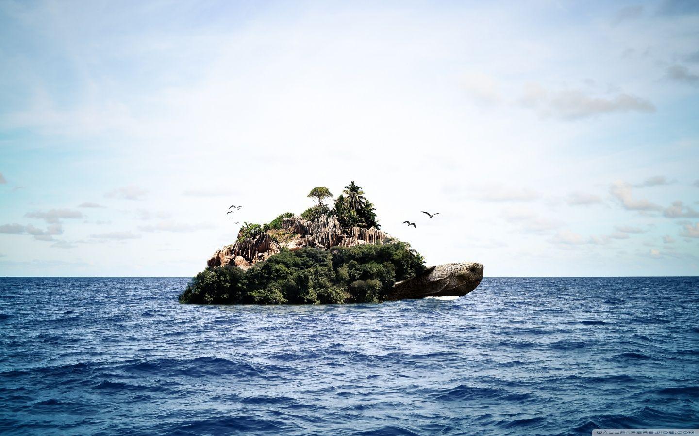 Turtle Island Wallpapers - Top Free Turtle Island Backgrounds ...