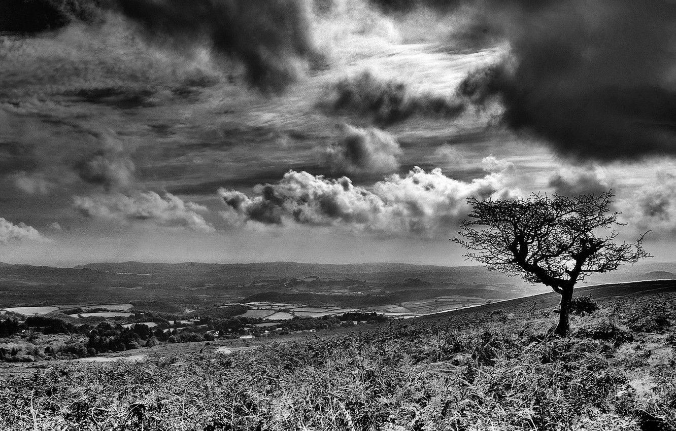 Black and White Cloud Wallpapers - Top Free Black and White Cloud ...