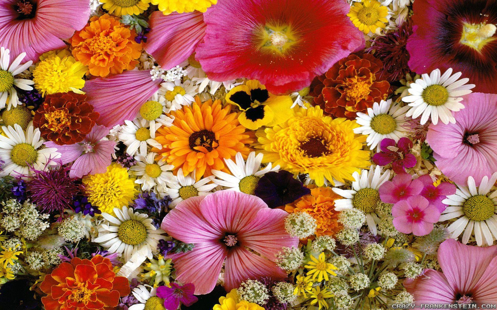 Easter Floral Wallpapers - Top Free Easter Floral Backgrounds ...