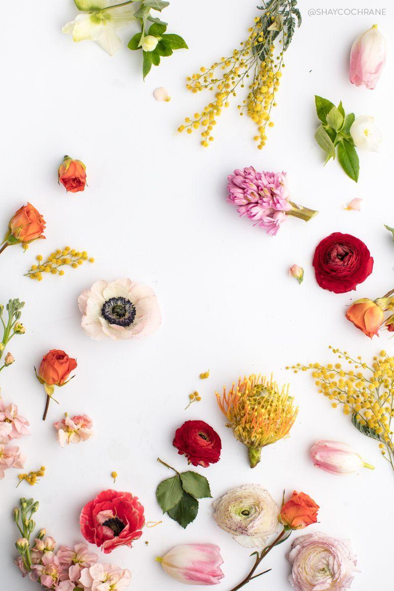 Bright Floral Wallpapers - Top Free Bright Floral Backgrounds ...