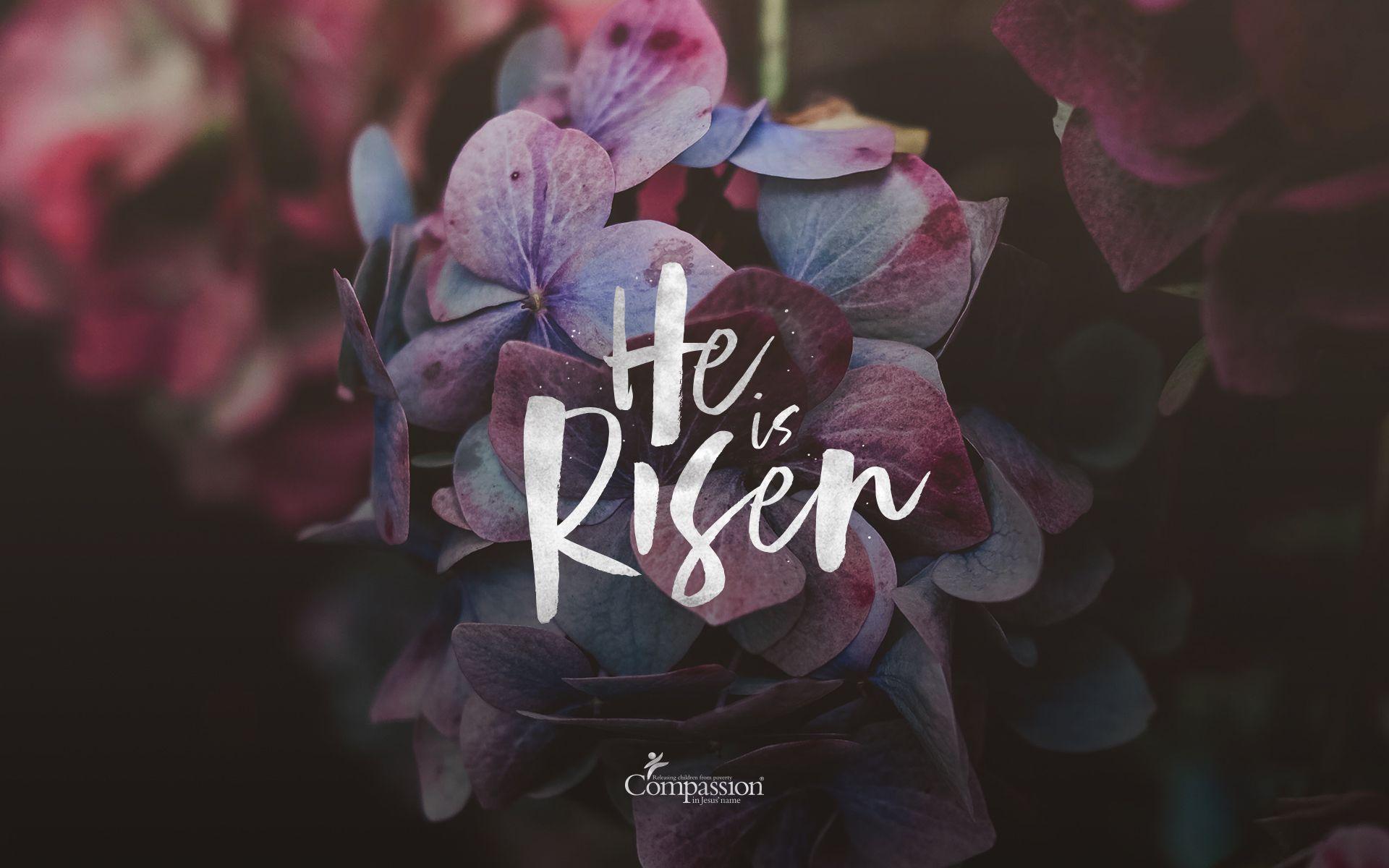 Easter Floral Wallpapers - Top Free Easter Floral Backgrounds ...