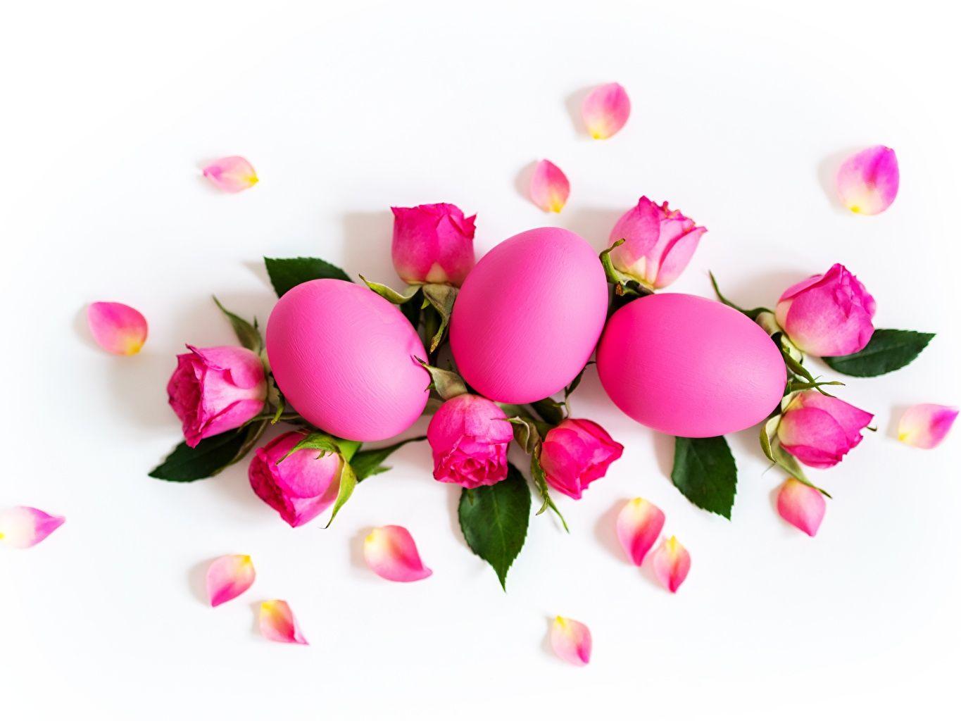 Easter Floral Wallpapers - Top Free Easter Floral Backgrounds ...