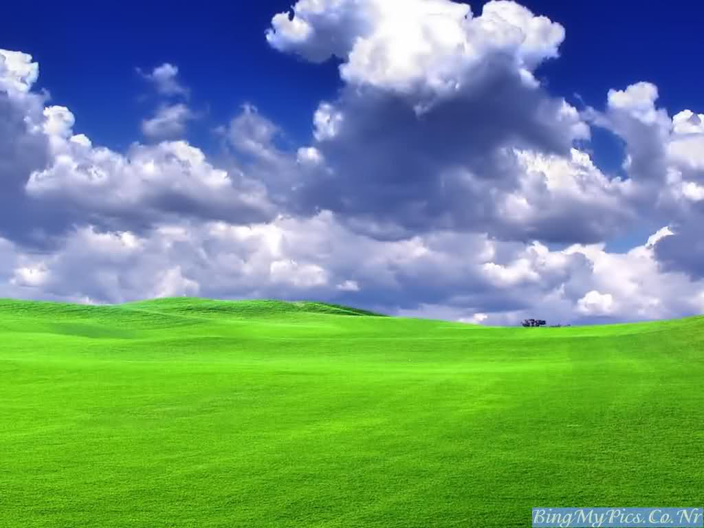 Plesent Wallpapers - Top Free Plesent Backgrounds - WallpaperAccess