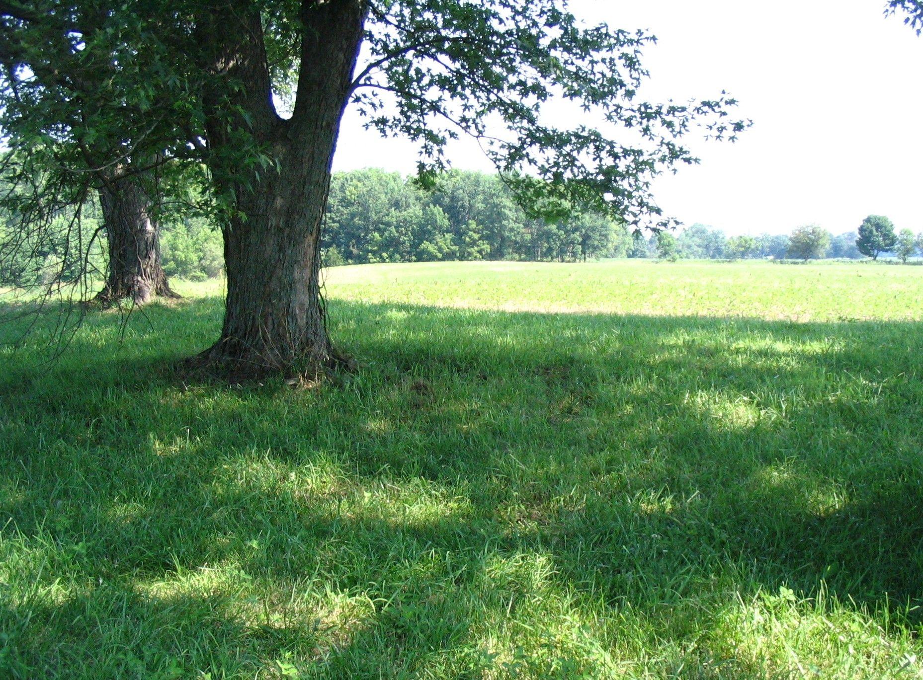 Pleasant Wallpapers - Top Free Pleasant Backgrounds - WallpaperAccess