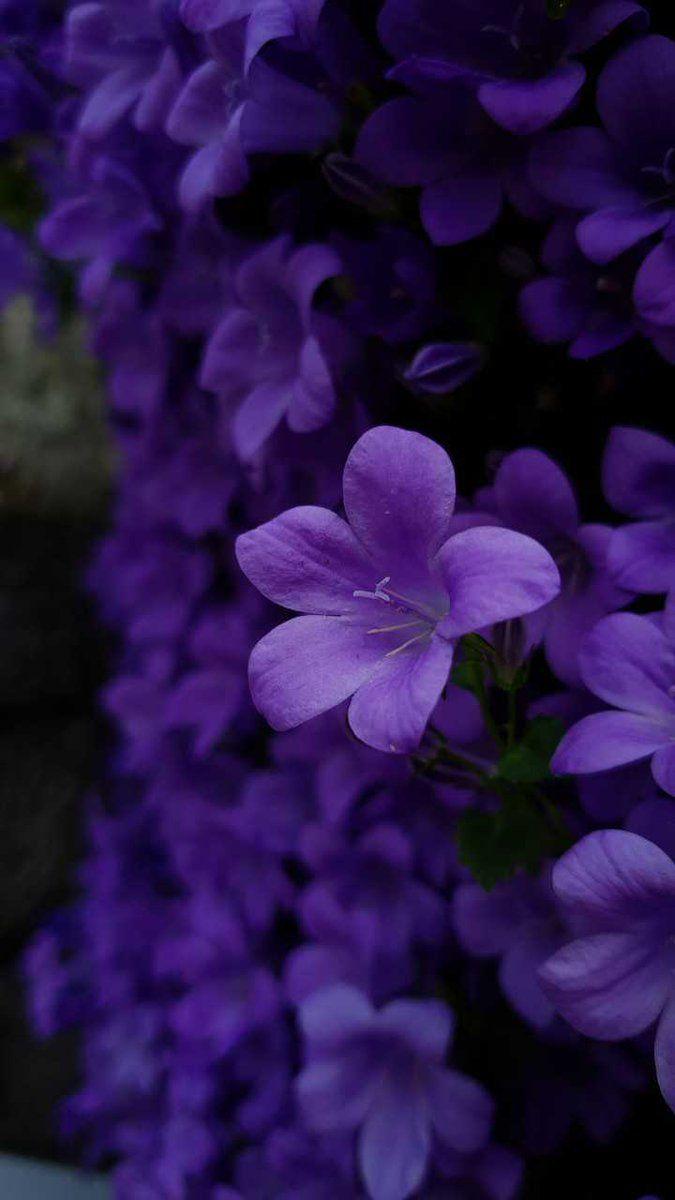 Pleasant Wallpapers - Top Free Pleasant Backgrounds - WallpaperAccess