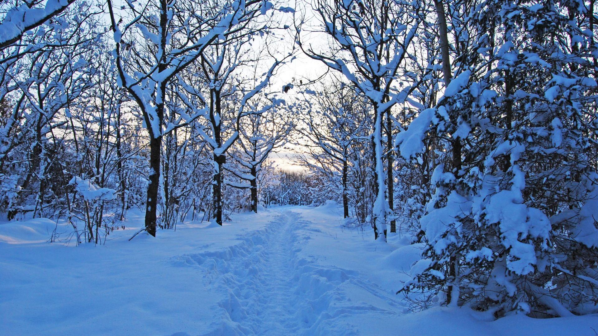 Sweden Snow Wallpapers - Top Free Sweden Snow Backgrounds - WallpaperAccess
