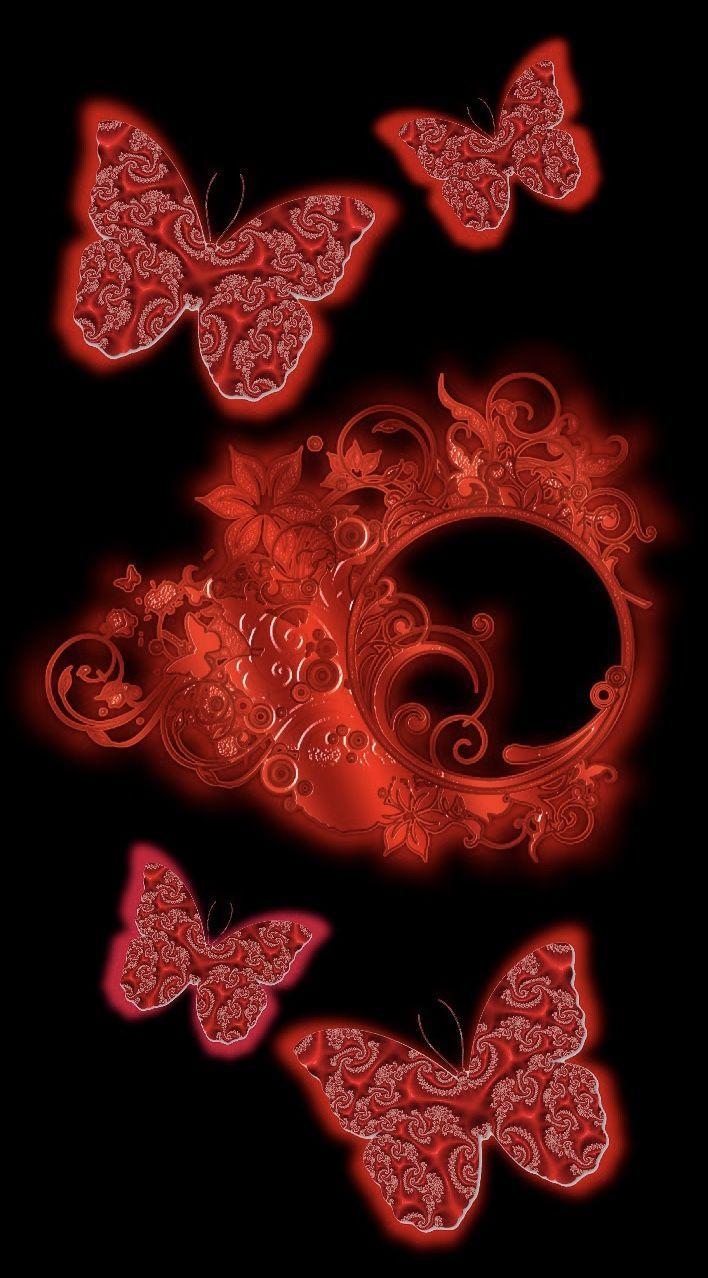 Cute Red Butterfly Wallpapers - Top Free Cute Red Butterfly Backgrounds ...