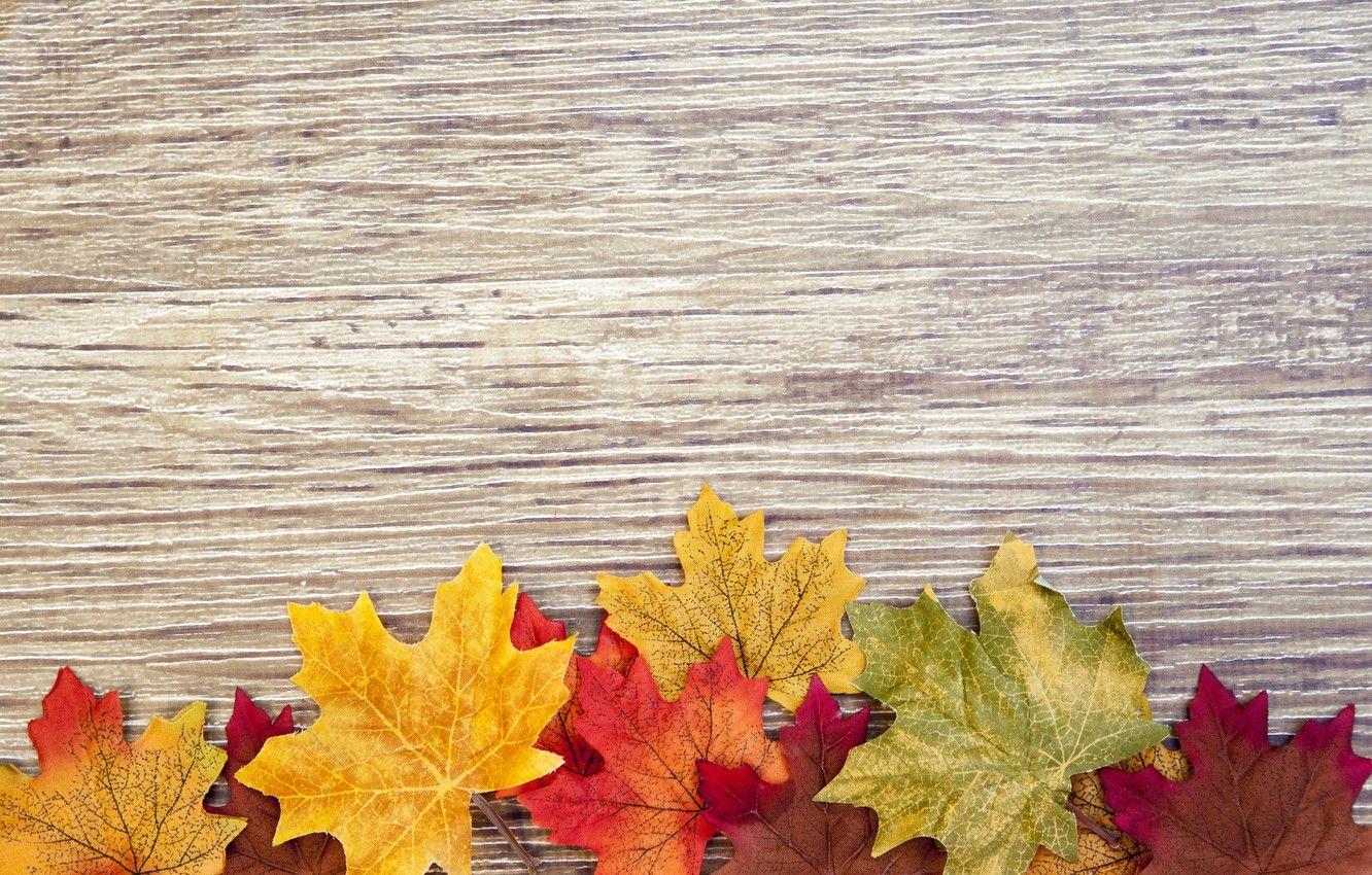 Fall Wood Wallpapers - Top Free Fall Wood Backgrounds - WallpaperAccess