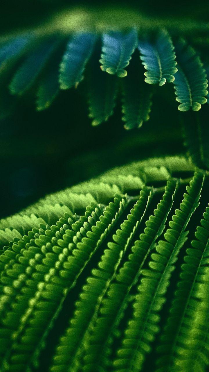 Eco Phone Wallpapers - Top Free Eco Phone Backgrounds - WallpaperAccess