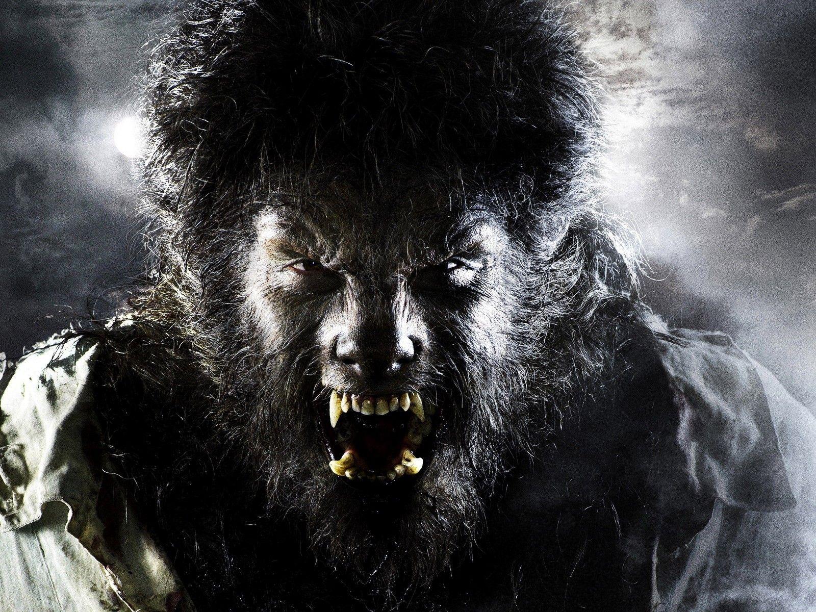 Werewolf Horror Wallpapers - Top Free Werewolf Horror Backgrounds ...