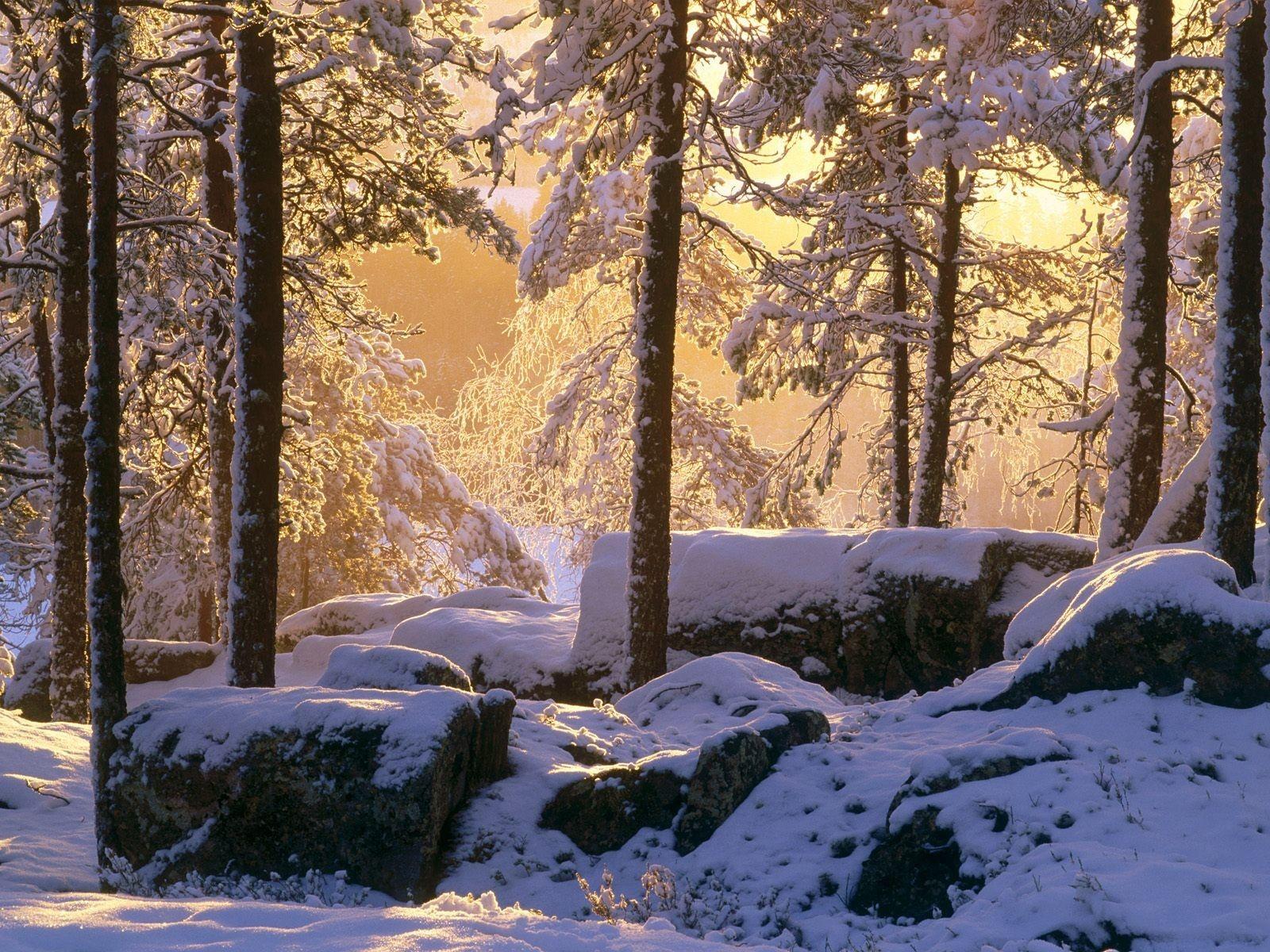 Sweden Snow Wallpapers - Top Free Sweden Snow Backgrounds - WallpaperAccess