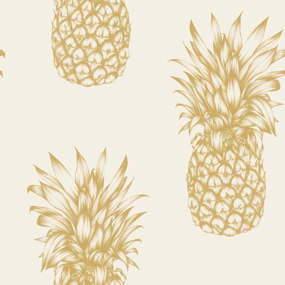 Tropical Pineapple Wallpapers - Top Free Tropical Pineapple Backgrounds ...