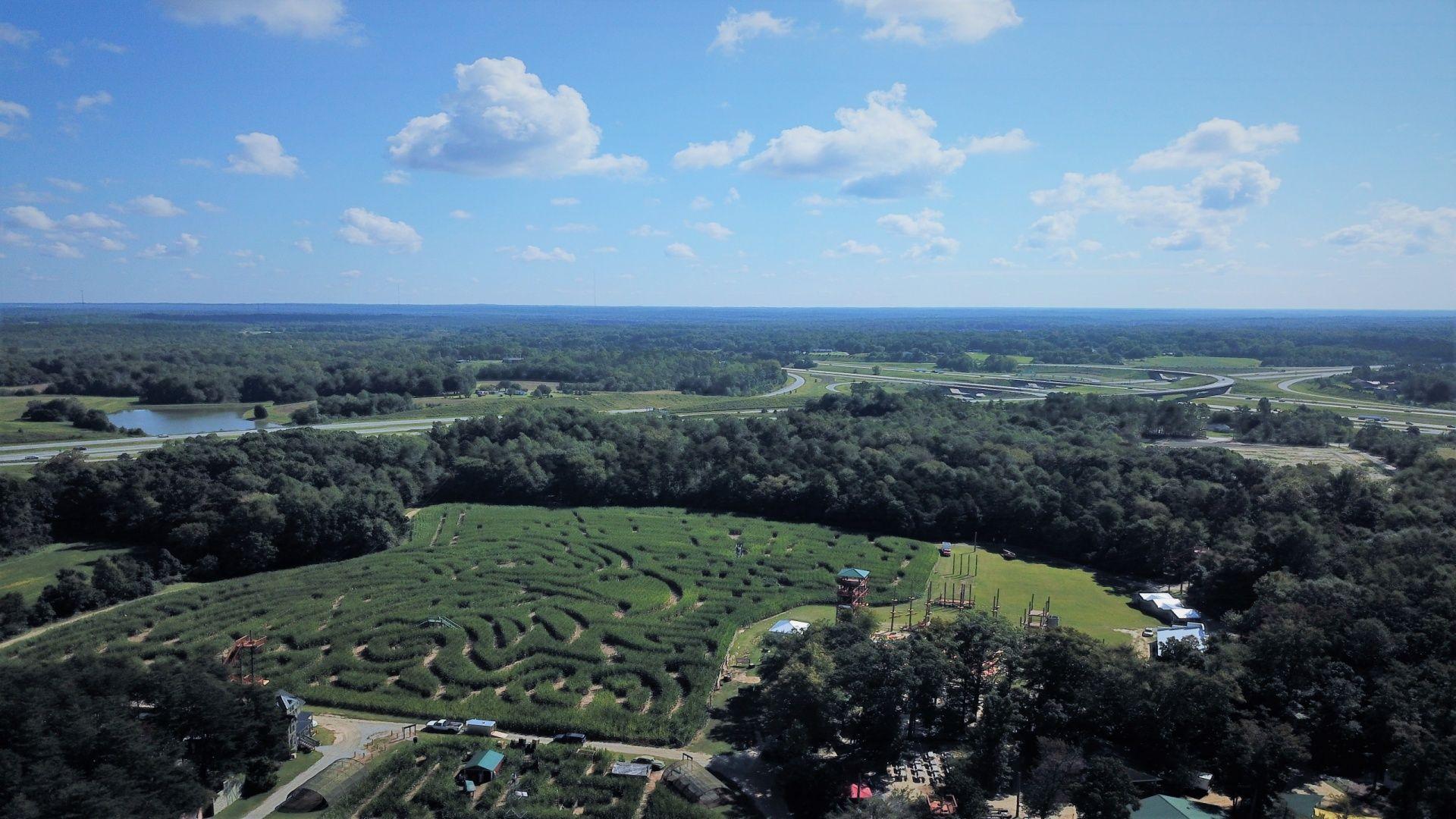 Corn Maze Wallpapers - Top Free Corn Maze Backgrounds - WallpaperAccess