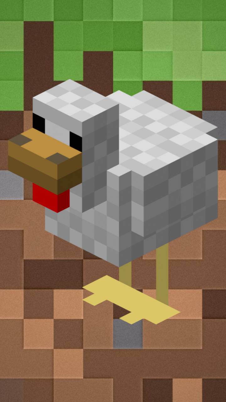 Minecraft Chicken Wallpapers - Top Free Minecraft Chicken Backgrounds ...