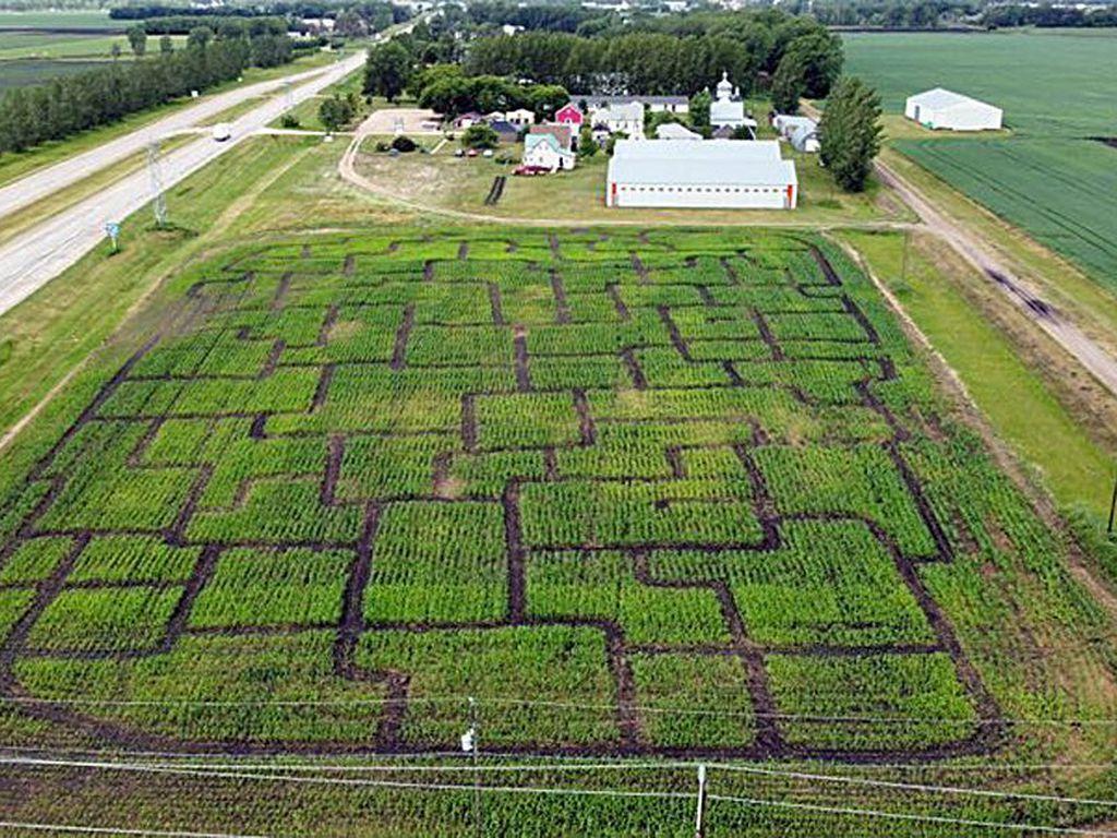 Corn Maze Wallpapers - Top Free Corn Maze Backgrounds - WallpaperAccess
