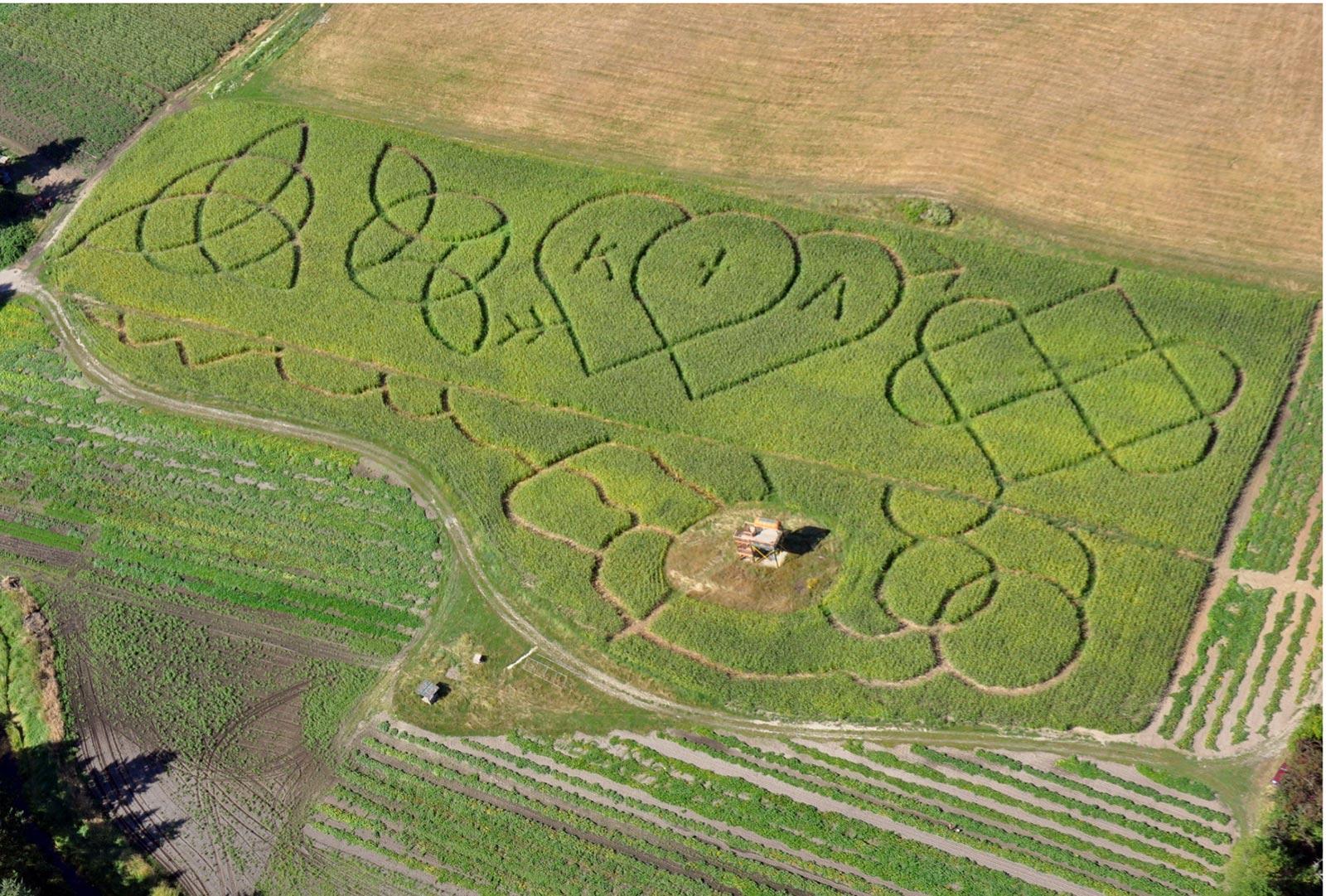 Corn Maze Wallpapers - Top Free Corn Maze Backgrounds - WallpaperAccess