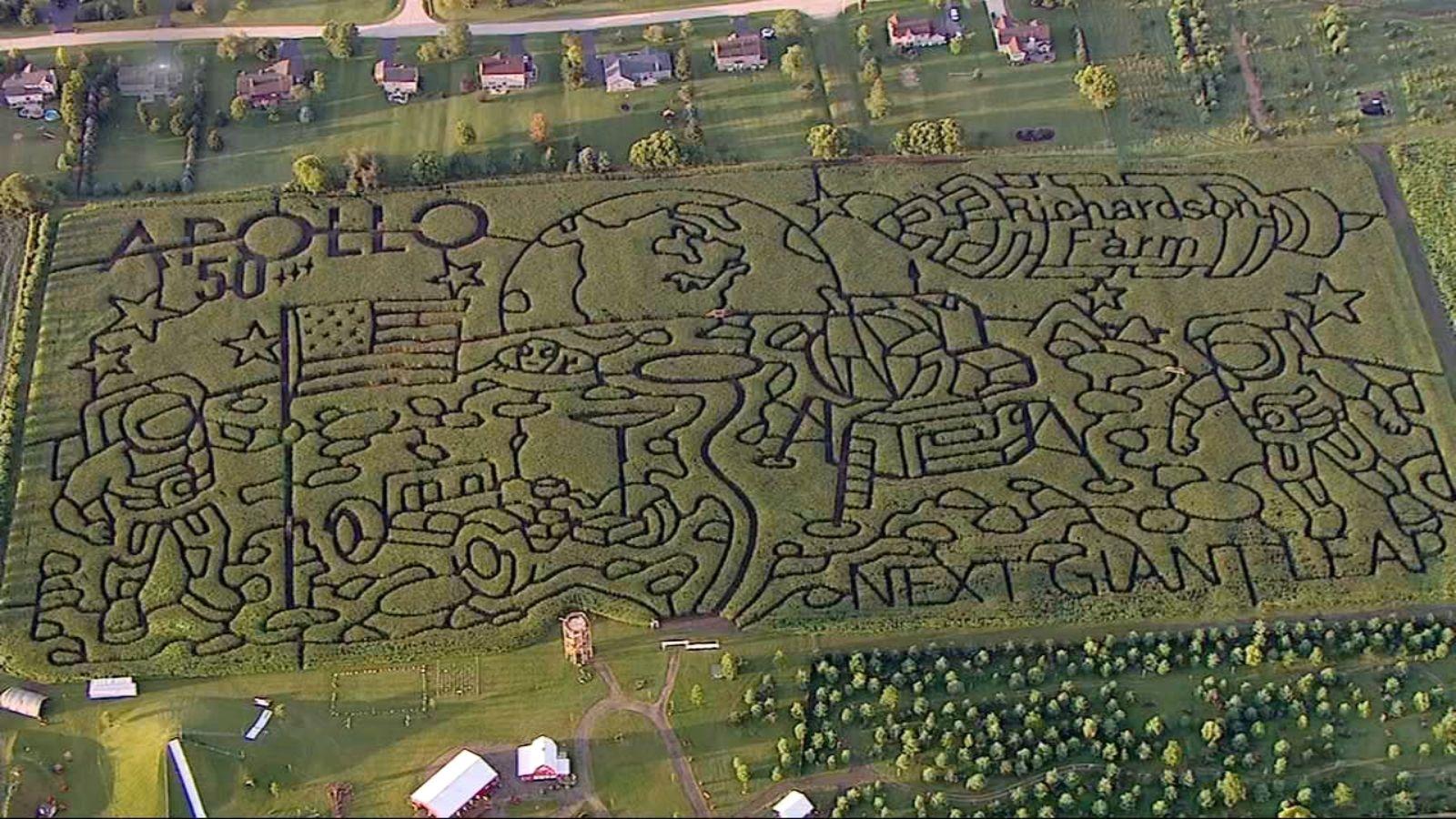 Corn Maze Wallpapers - Top Free Corn Maze Backgrounds - WallpaperAccess