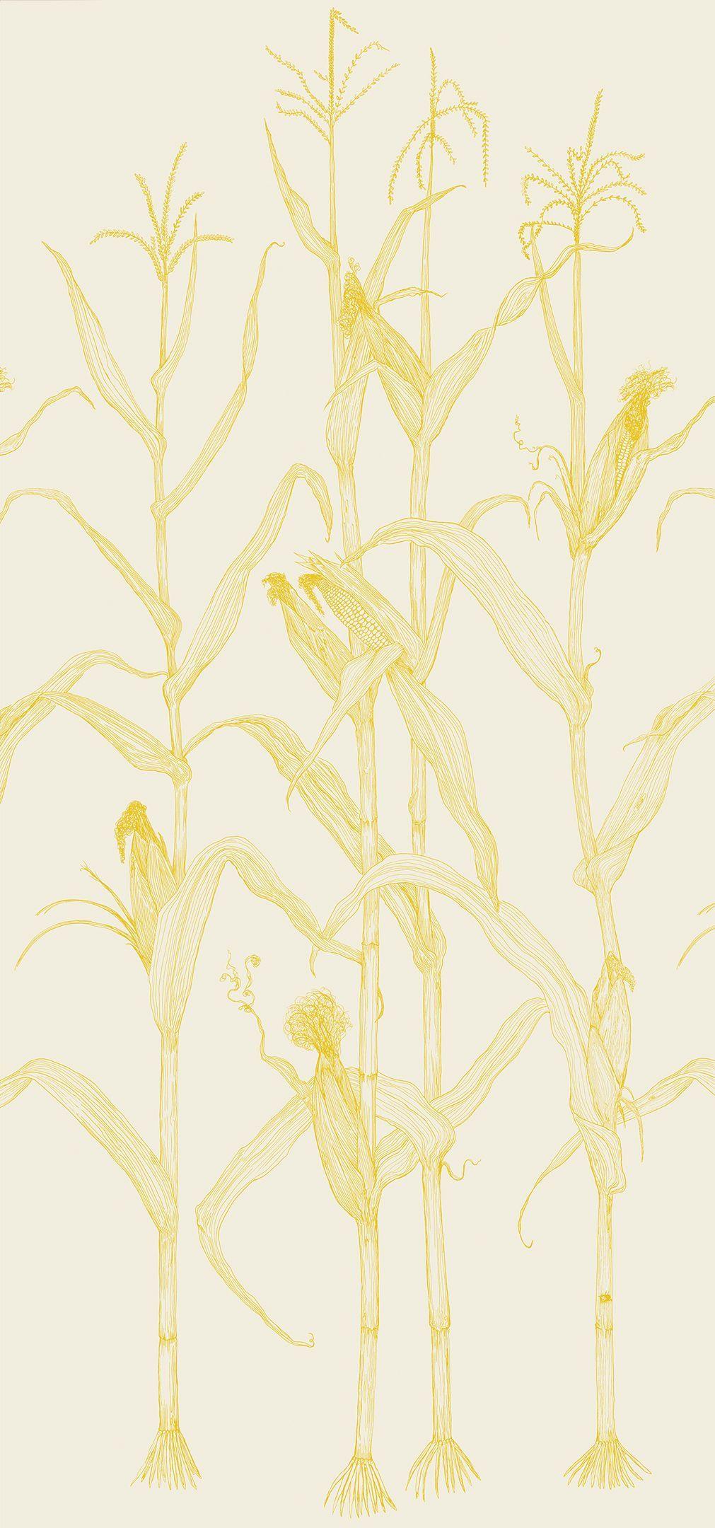 Corn Maze Wallpapers - Top Free Corn Maze Backgrounds - WallpaperAccess