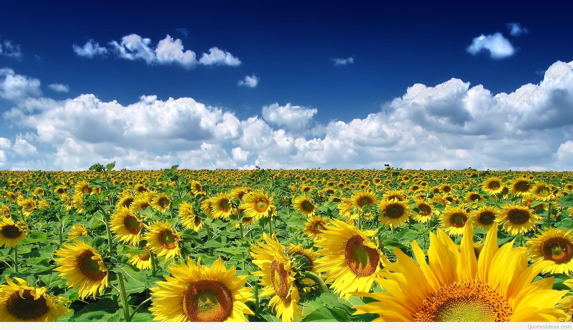 April Spring Wallpapers - Top Free April Spring Backgrounds ...