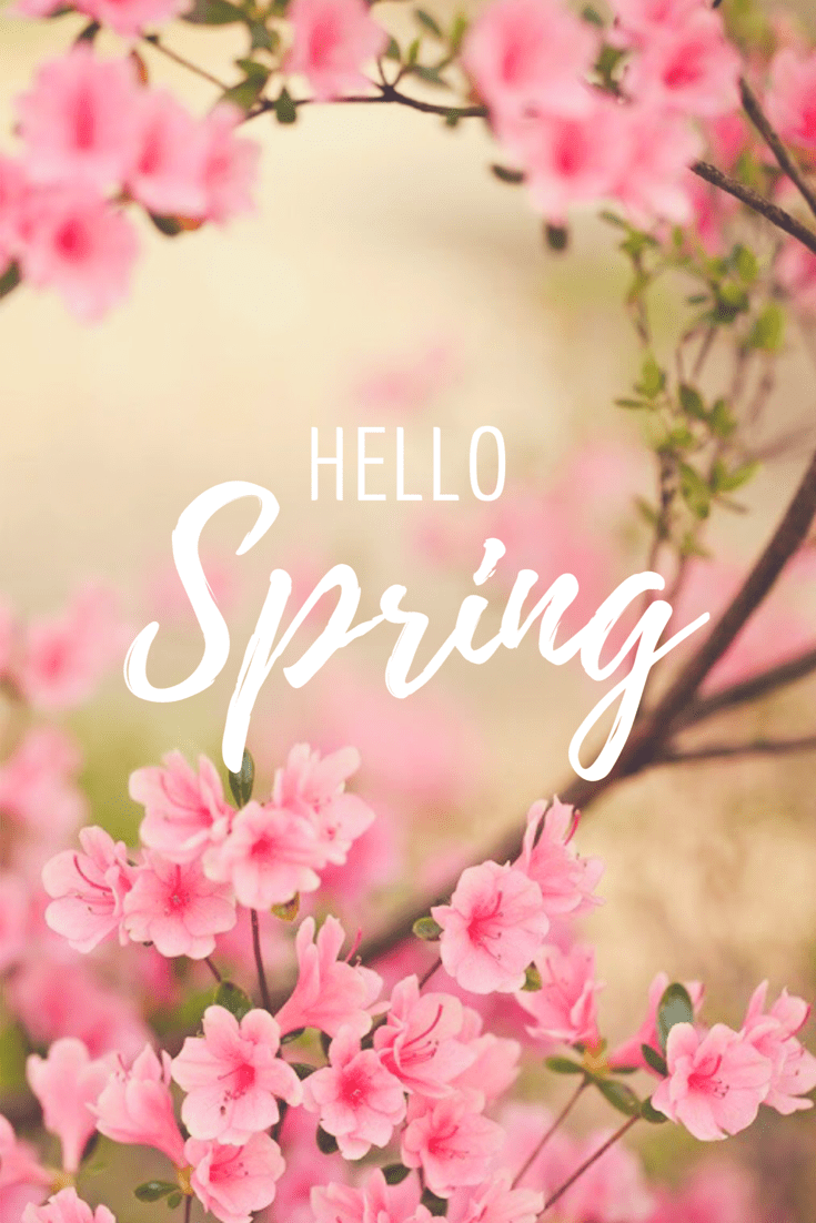 Hello Spring Wallpapers - Top Free Hello Spring Backgrounds ...