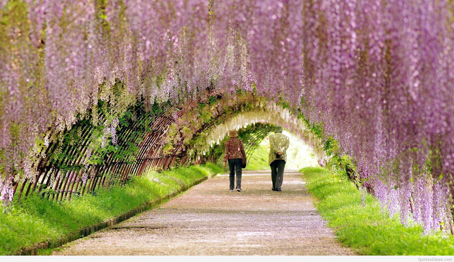 April Spring Wallpapers - Top Free April Spring Backgrounds ...