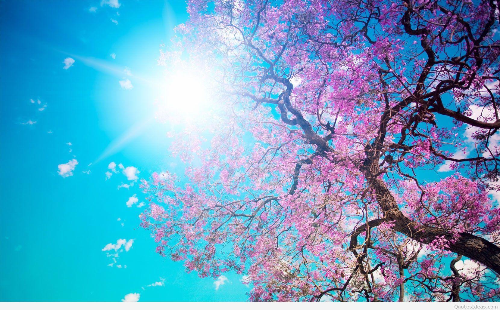 April Spring Wallpapers - Top Free April Spring Backgrounds ...