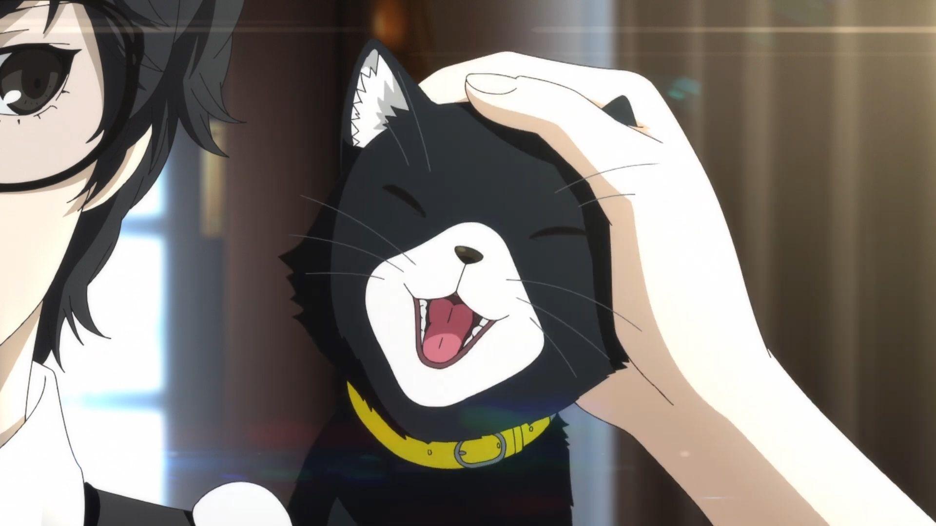 Persona 5 Morgana Wallpapers - Top Free Persona 5 Morgana Backgrounds ...