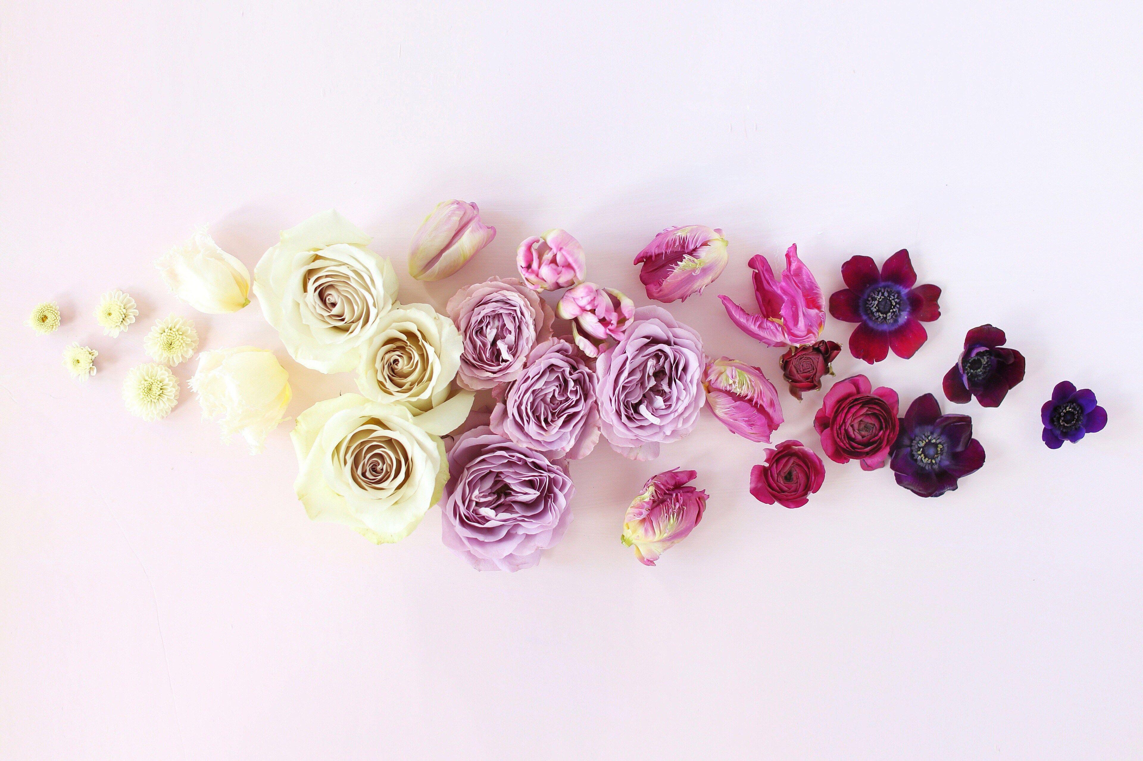 April Spring Wallpapers - Top Free April Spring Backgrounds ...