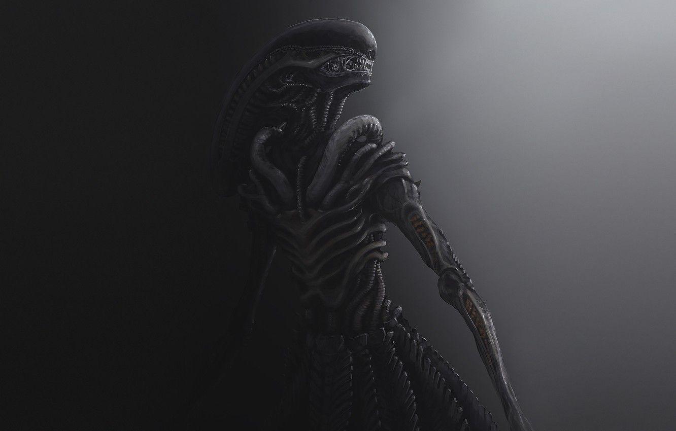 Alien Art Wallpapers - Top Free Alien Art Backgrounds - WallpaperAccess