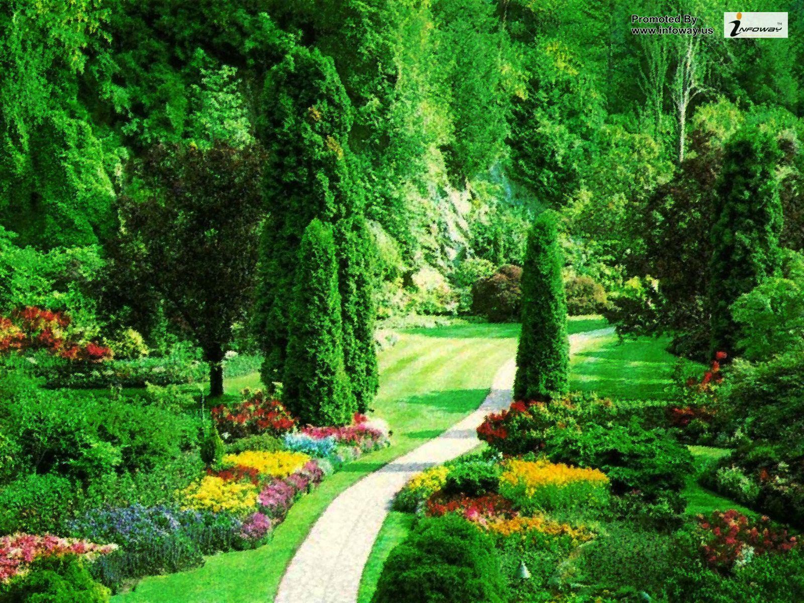 Most Beautiful Nature Wallpapers - Top Free Most Beautiful Nature ...
