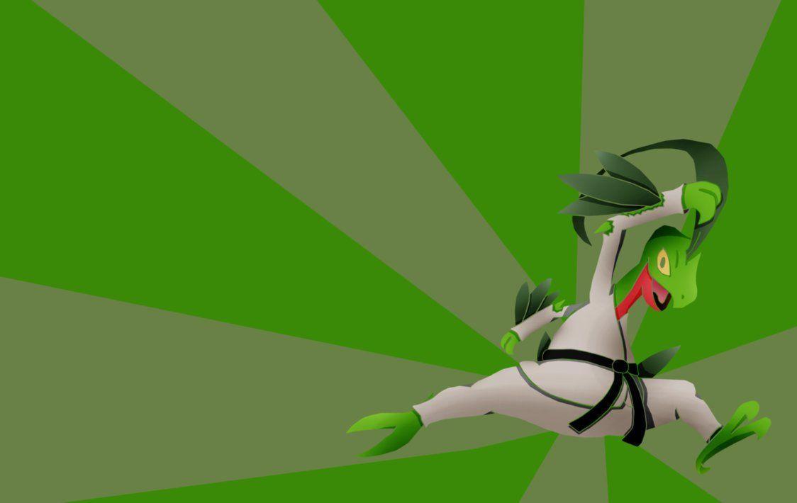 Grovyle Wallpapers - Top Free Grovyle Backgrounds - WallpaperAccess