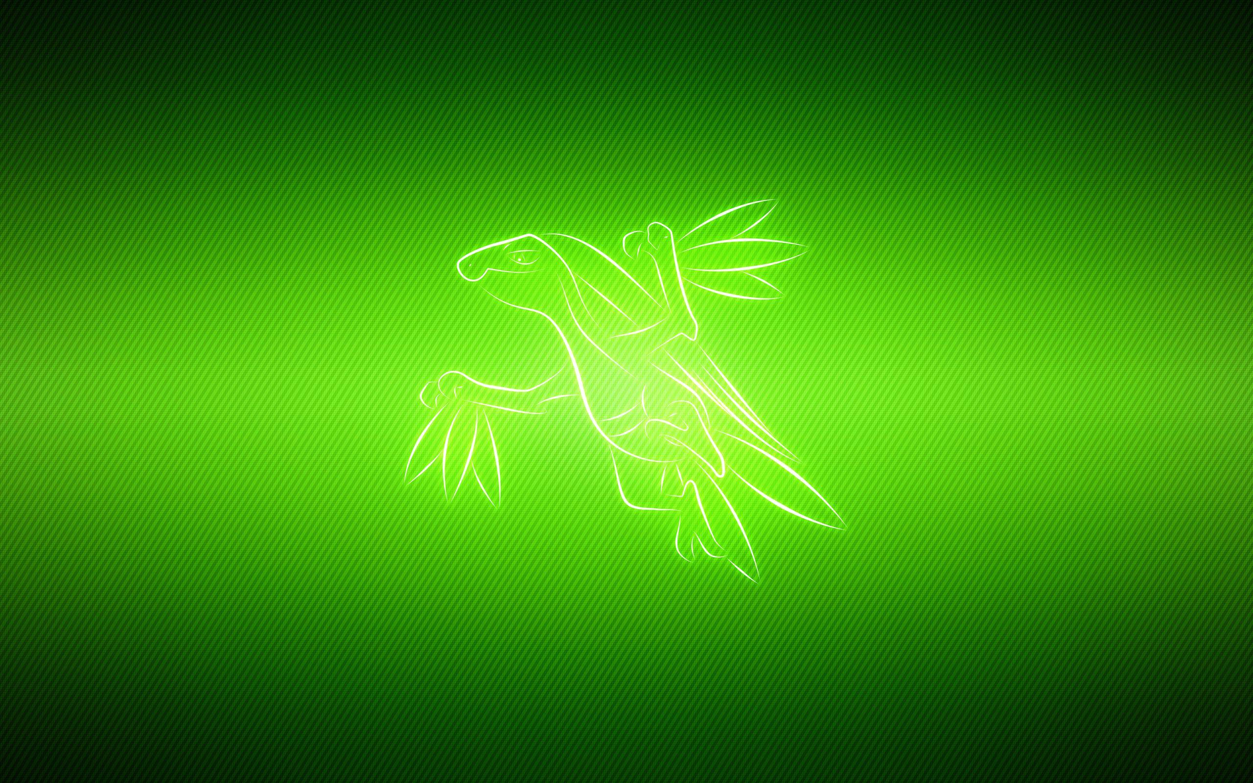 Grovyle Wallpapers - Top Free Grovyle Backgrounds - WallpaperAccess