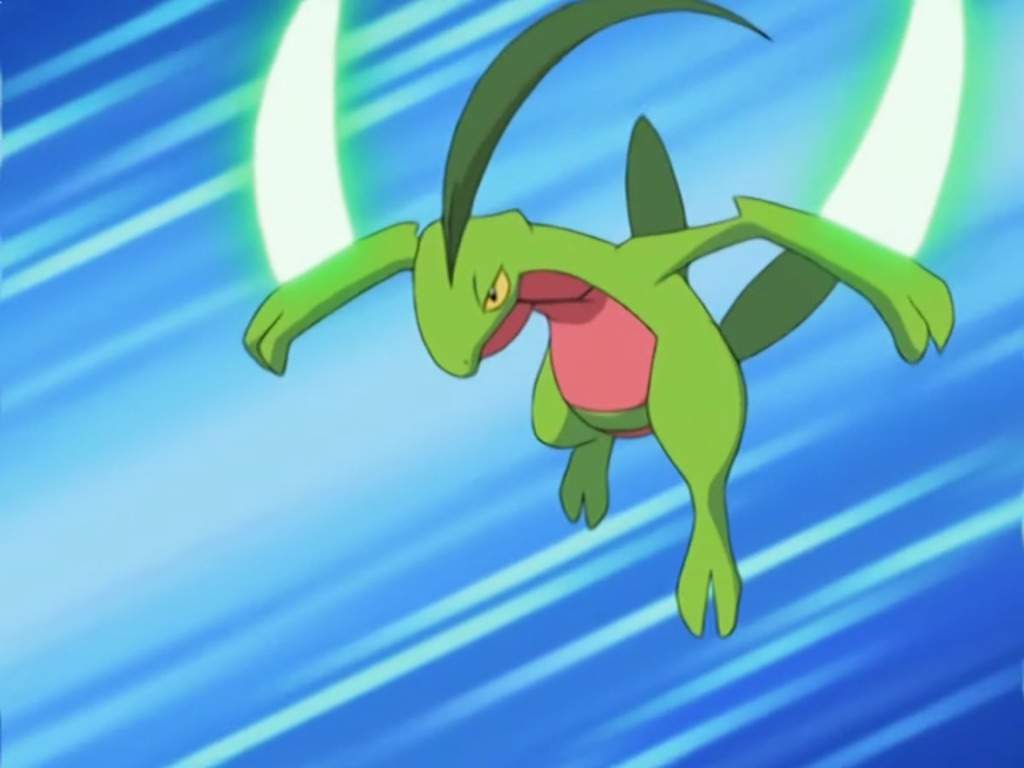 Grovyle Wallpapers - Top Free Grovyle Backgrounds - WallpaperAccess