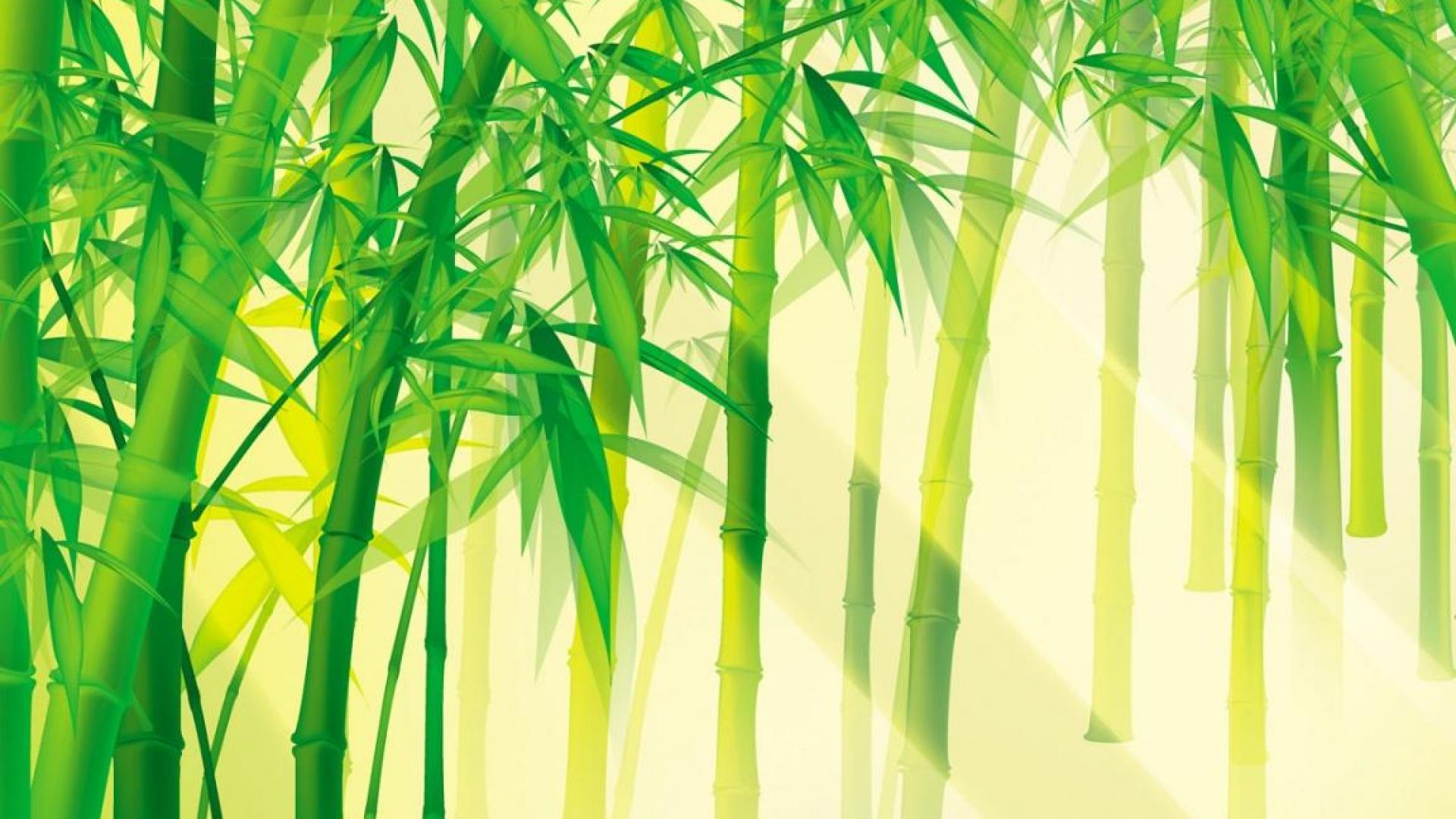 Chinese Bamboo Forest Wallpapers - Top Free Chinese Bamboo Forest ...