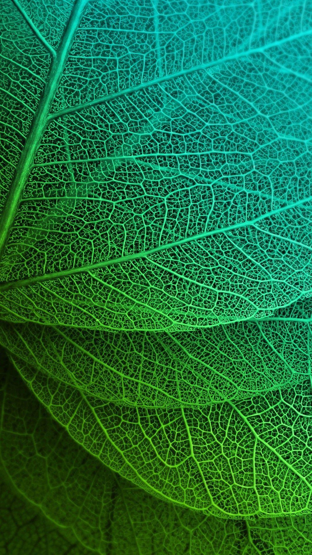 Earthy Green Wallpapers - Top Free Earthy Green Backgrounds ...