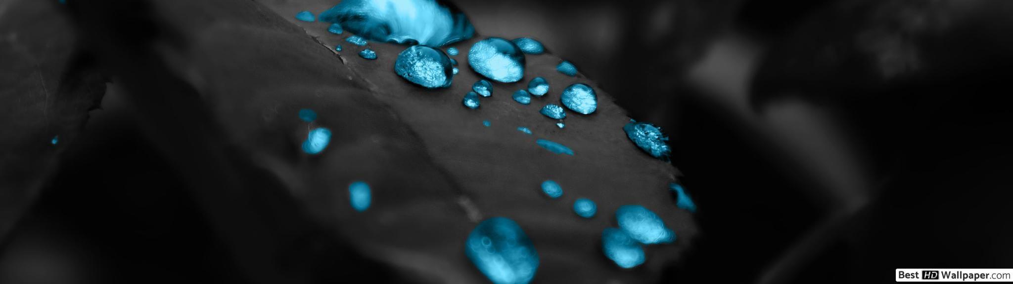 Blue Leaf Wallpapers - Top Free Blue Leaf Backgrounds - WallpaperAccess