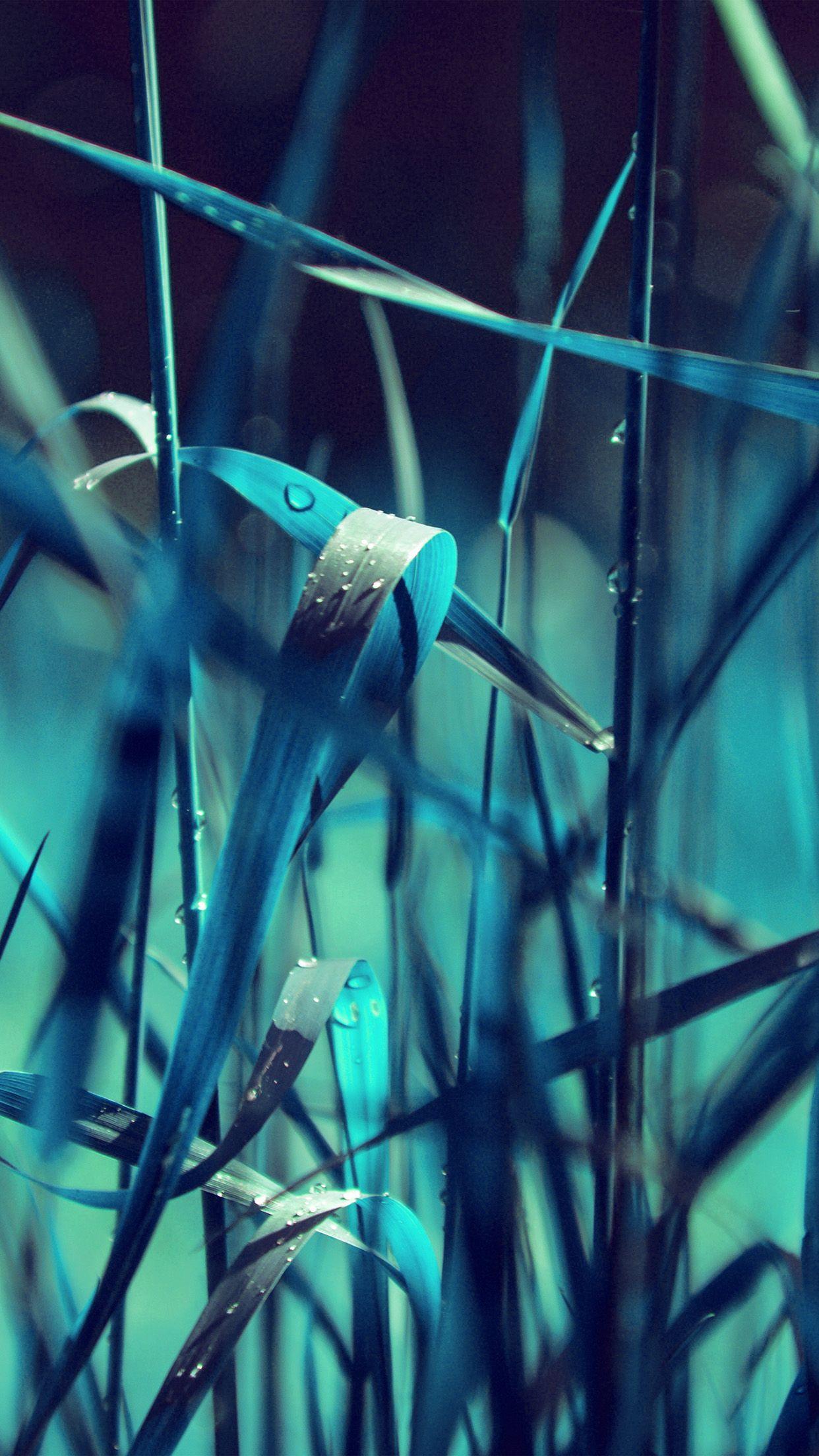 Blue Leaf Wallpapers - Top Free Blue Leaf Backgrounds - WallpaperAccess