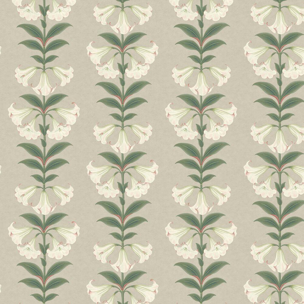 Angel Trumpet Wallpapers - Top Free Angel Trumpet Backgrounds ...