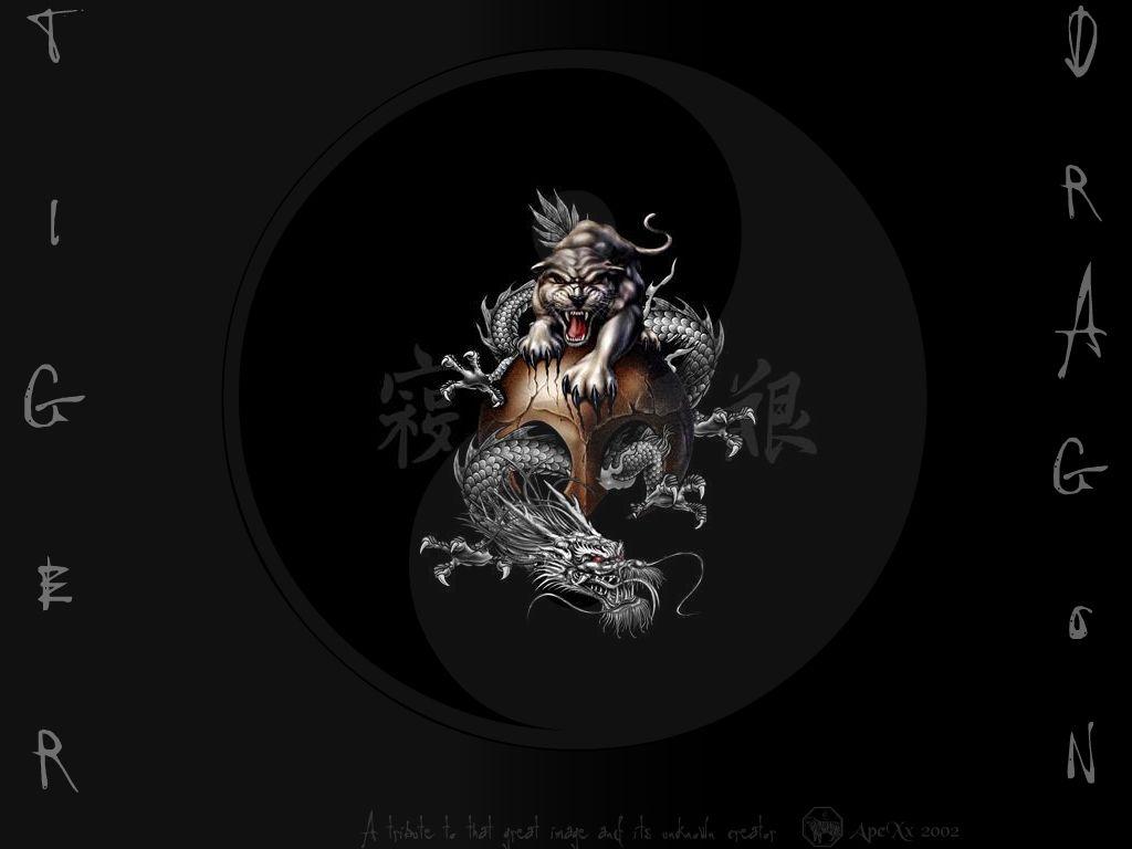 Tiger and Dragon Wallpapers - Top Free Tiger and Dragon Backgrounds ...