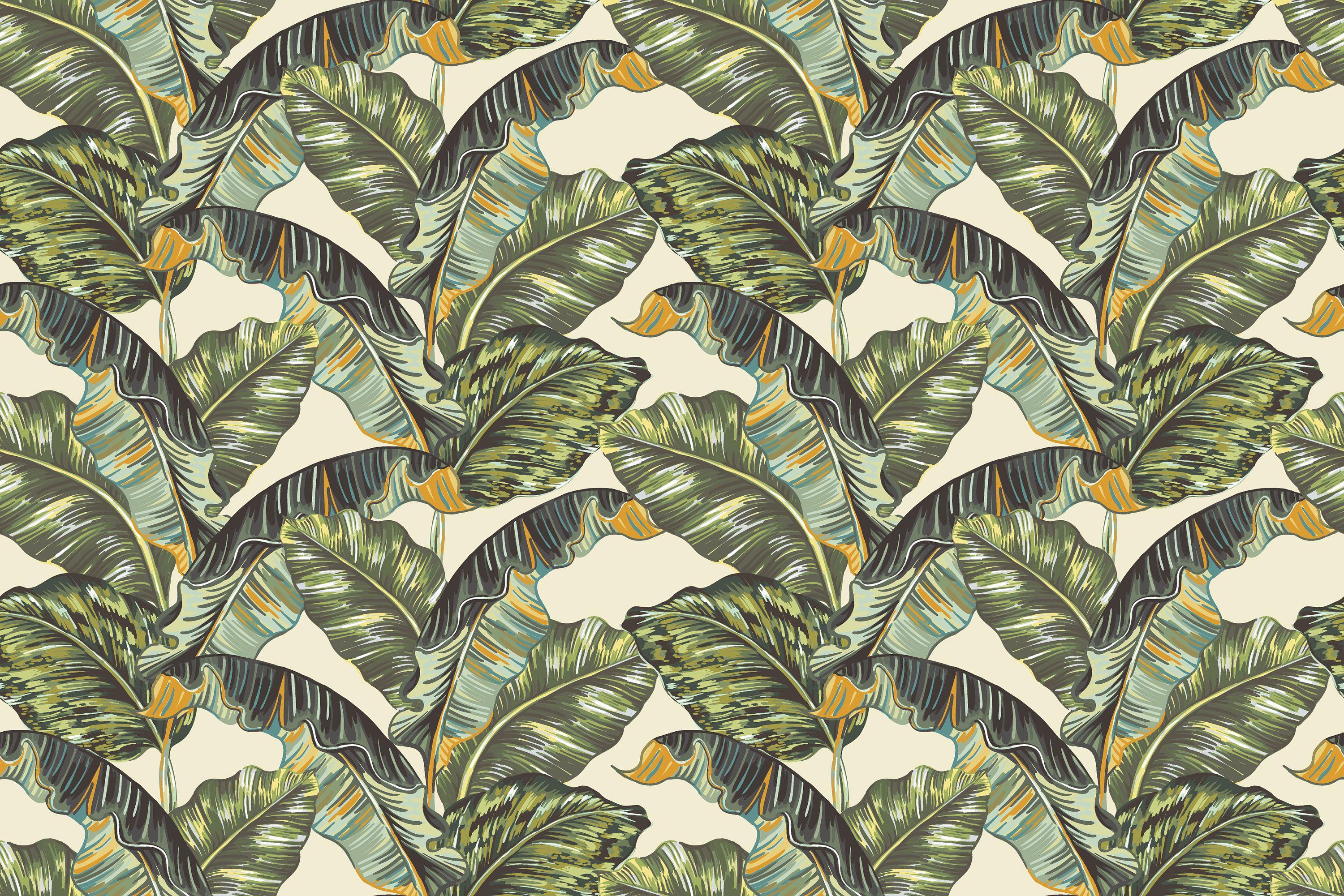 Tropical Wallpapers - Top Free Tropical Backgrounds - WallpaperAccess