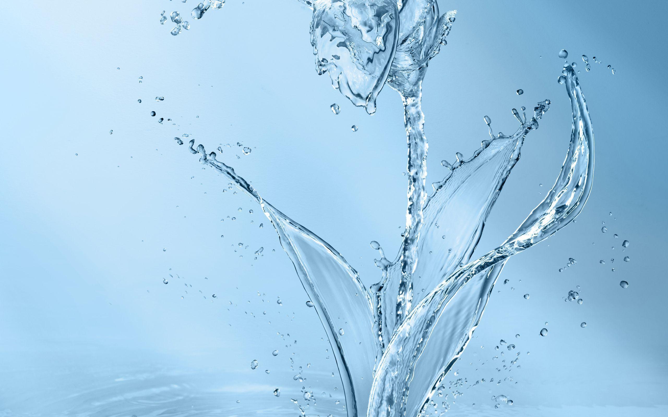 Rose Water Wallpapers - Top Free Rose Water Backgrounds - WallpaperAccess