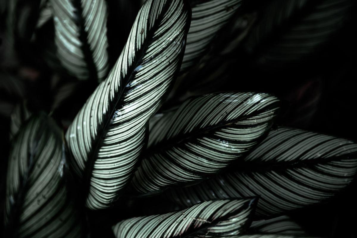 Refresh Wallpapers - Top Free Refresh Backgrounds - WallpaperAccess